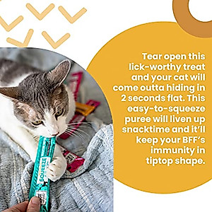 I AND LOVE AND YOU Treat Meow Lickable Cat Treats - Seafood Puree - Immune Support, Squeeze Treat, 0.5oz, 4ct