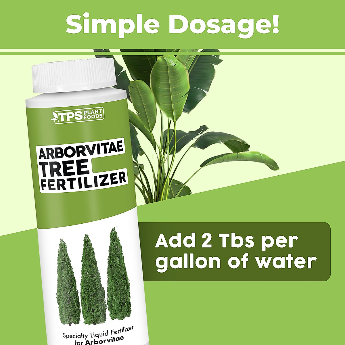 Arborvitae Tree Fertilizer for All Arborvitaes, Evergreen Shrubs and Thuja Trees, Liquid Plant Food 8 oz (250mL)