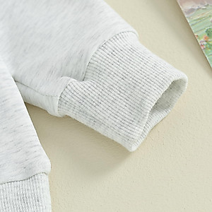 Dewadbow Toddler Baby Football Outfits Sundays are for The Birds Eagles Sweatshirt Top Pants Set Cute Fall Clothes (Gray, 12-18 Months)