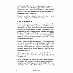 Break the Mold: 5 Tools to Conquer Mold and Take Back Your Health