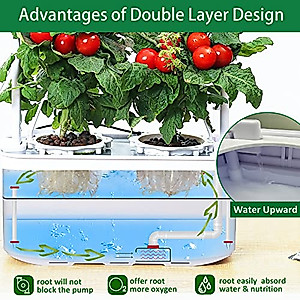 eSuperegrow Hydroponics Growing System,Smart Hydroponic Gardening System with LED Grow Light,Indoor Garden Hydroponic Herb Grow Kit with Climbing Trellis for Short Tomato,Basil,Pepper,Cucumber