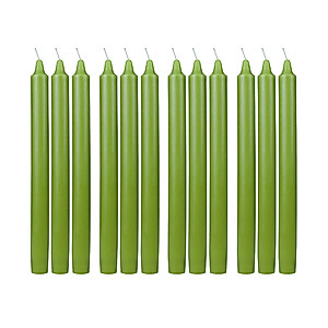 Zest Candle 12-Piece Taper Candles, 10-Inch, Sage Green Straight
