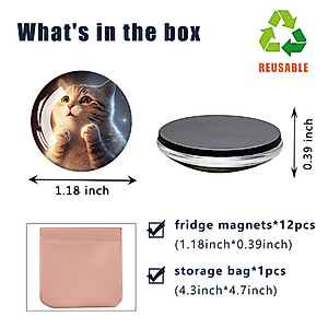 RIMULAplus Cute Refrigerator Magnets for Fridge, Decorative Fridge Magnets Cute, Small Glass Cat Magnets for Whiteboard Office Kitchen