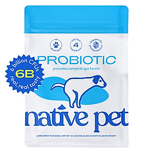 Native Pet Probiotic for Dogs - Vet Created Powder Digestive Issues Dog Probiotics + Prebiotic Bone Broth 232 Gram 6 Billion CFU - Dog Supplies - Powder Prebiotics and Probiotics Dogs Love! (32.8 oz)