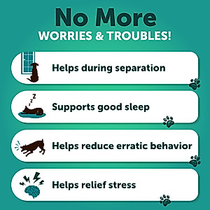 Artullano Hemp Calming Chews for Dogs - Advanced Dog Calming Chews - Anxiety Relief Treats - Dog Anxiety Relief - Health and Wellness Supplements for Dogs - Hip and Joint Support - 120 Chews