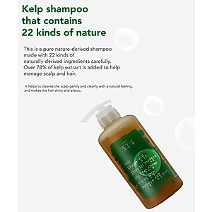[ChungMiJung] Kelp Small Scalp Shampoo Dandruff Shampoo 500ml-organic 18 Ingredients from Nature for Sensitive Skin Korean Skincare,16.91 Fl oz (Pack of 1)