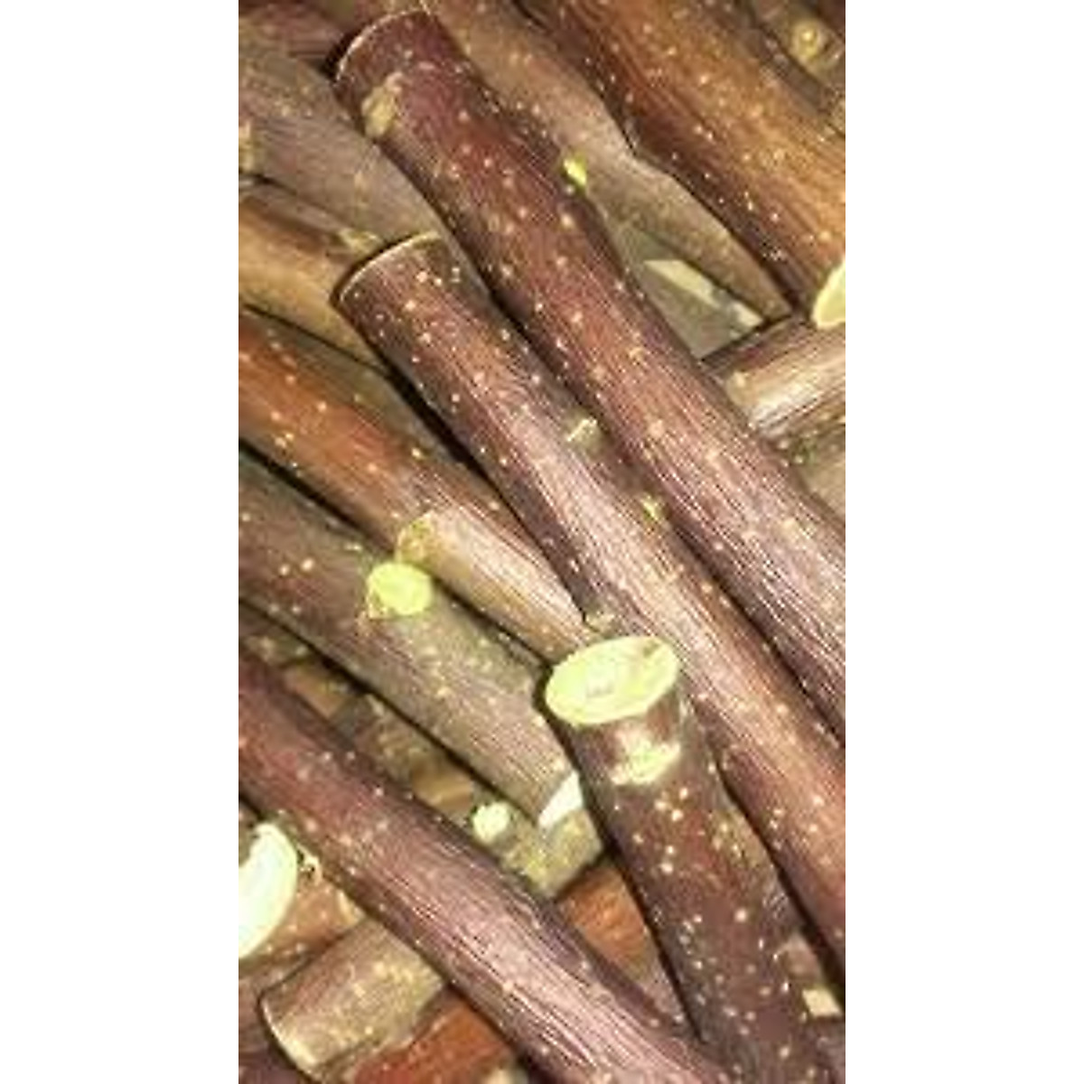 50 Apple Wood Sticks for Smoking, Grilling. Win Grilling Contests - Fresh Cut Apple Tree Wood Sticks