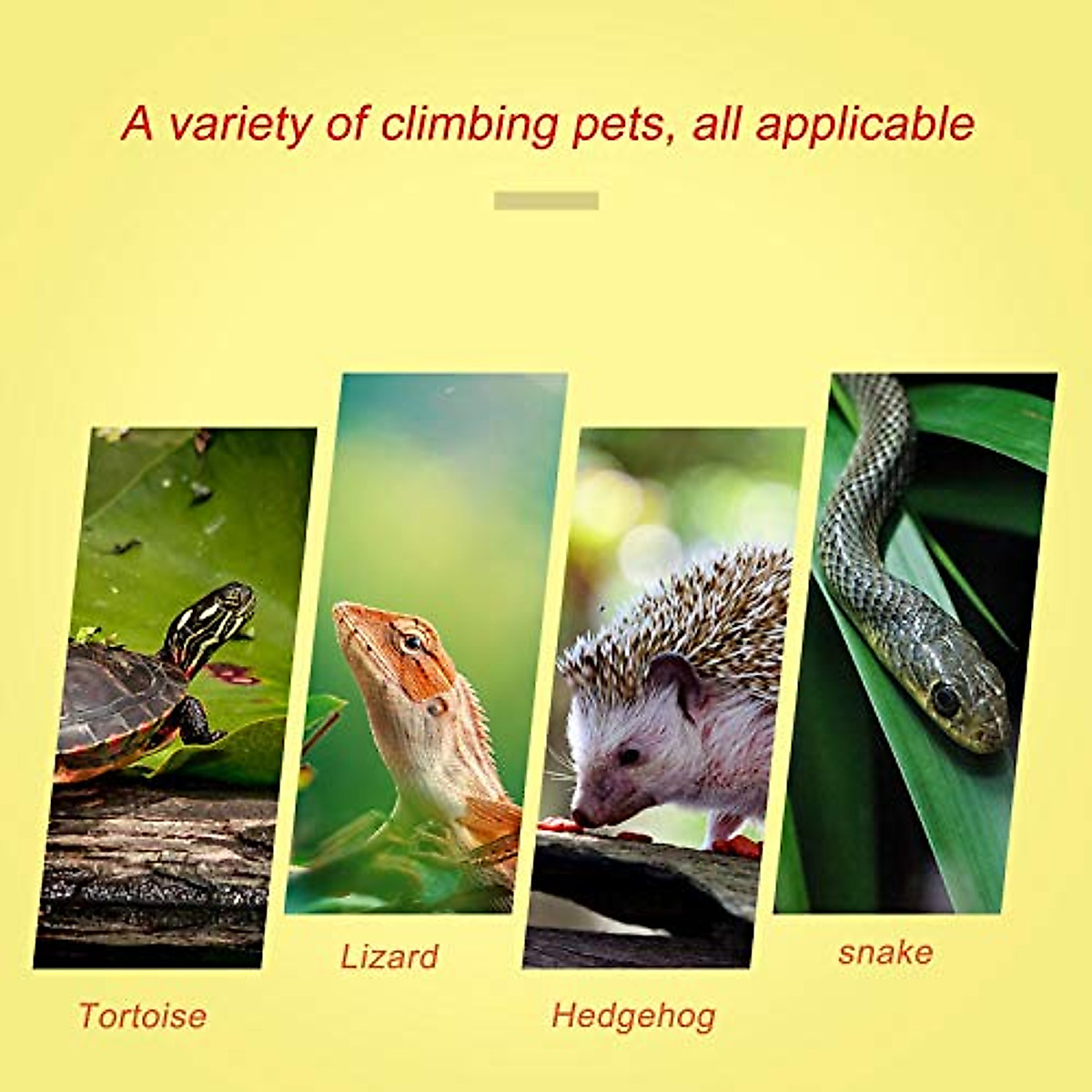 HANJION 6 Pack 50W UVA&UVB Full Spectrum Reptile Heat Lamp Sun Lamp Sunbathe Spot Basking Bulb for Lizard Turtle Habitat Light