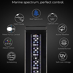 Current USA 36-48" Inch Orbit Marine LED Saltwater Reef Marine Aquarium Light | 24 Hour IR Lighting & eFlux Wave Pump Control | Adjustable Color Spectrum for Fish Tank (4102)