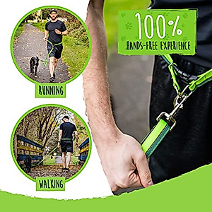 Mighty Paw Hands Free Bungee Leash 2.0 | 4’ Dog Lead W/Dual Padded Traffic Handles for Running, Hiking & Jogging. Wearable Belt (27-48” Waistband) W/ 2 Attachment Loops. Pets Up to 150lb (Green)