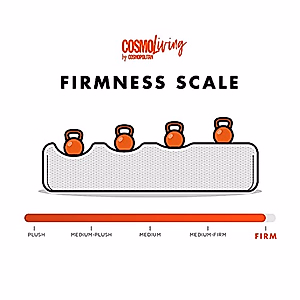 CosmoLiving by Cosmopolitan Gloria Upholstered Sofa, Light Gray