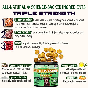 Hemp Hip and Joint Supplement for Dogs - Glucosamine for Dogs -Made in USA- 120 Treats Pain Relief Anti Inflammatory - Chondroitin, MSM, Hemp Oil - Dog Joint Supplement w/Arthritis Relief + Mobility