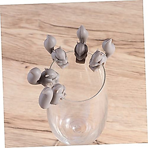 Tea Bag Holder for Mug 5pcs Korean Tea Set Tea Bag Holder Squirrel Tea Bag Tea Holder Animal Silicone Tea Holder Tea Bag Holders