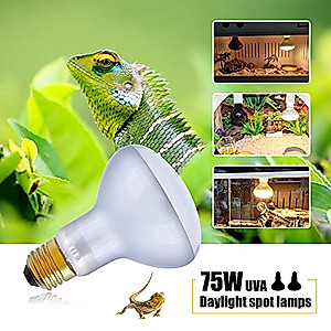 Infrared Heat lamp Basking Spot Light Bulb，LEDESIGN 75 Watt White Heat Lamp Bulbs for Reptiles and Amphibian Use, 2 Packs (White)