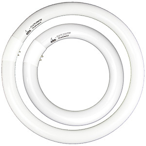 FC8T9/CW 22W and FC12T9/CW 32W Cool White Round Fluorescent Light Bulb Set, 8 inch T9 22 Watts & 12 inch 32 Watts Circular Bulbs Pack, Circline Kitchen and Bath Light Bulbs, CRI 80, 4100K, G10q Prong
