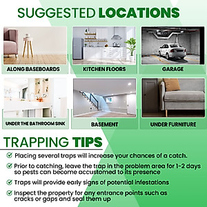 T3-R Sticky Traps for Bugs Extra Large (12 Pack) - Mouse and Insect Glue Boards - Disposable Non-Toxic Glue Traps for Mice and Rats - Extra Strength Sticky Glue Traps for Rodent