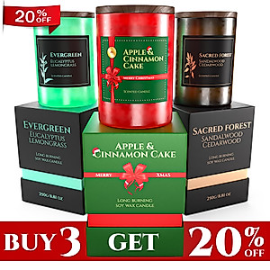 Sacred Forest Cedar & Sandalwood Candle | Scented Candle for Relaxing Aromatherapy | 60H Burn Time | Infused with Essential Oils | Christmas Gift | Natural Soy 8.81 Oz