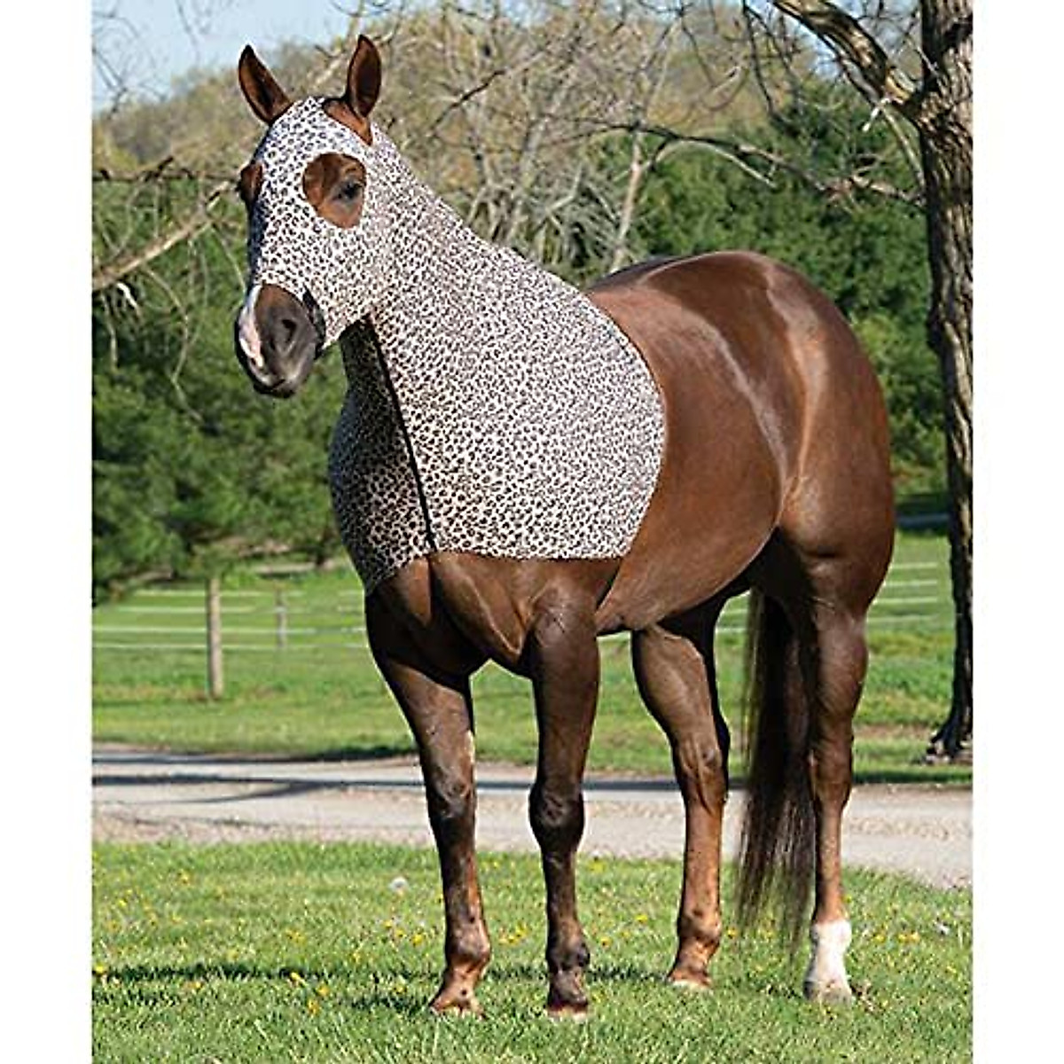 Weaver Leather Medium Equiskinz Lycra Hood Leopard Medium