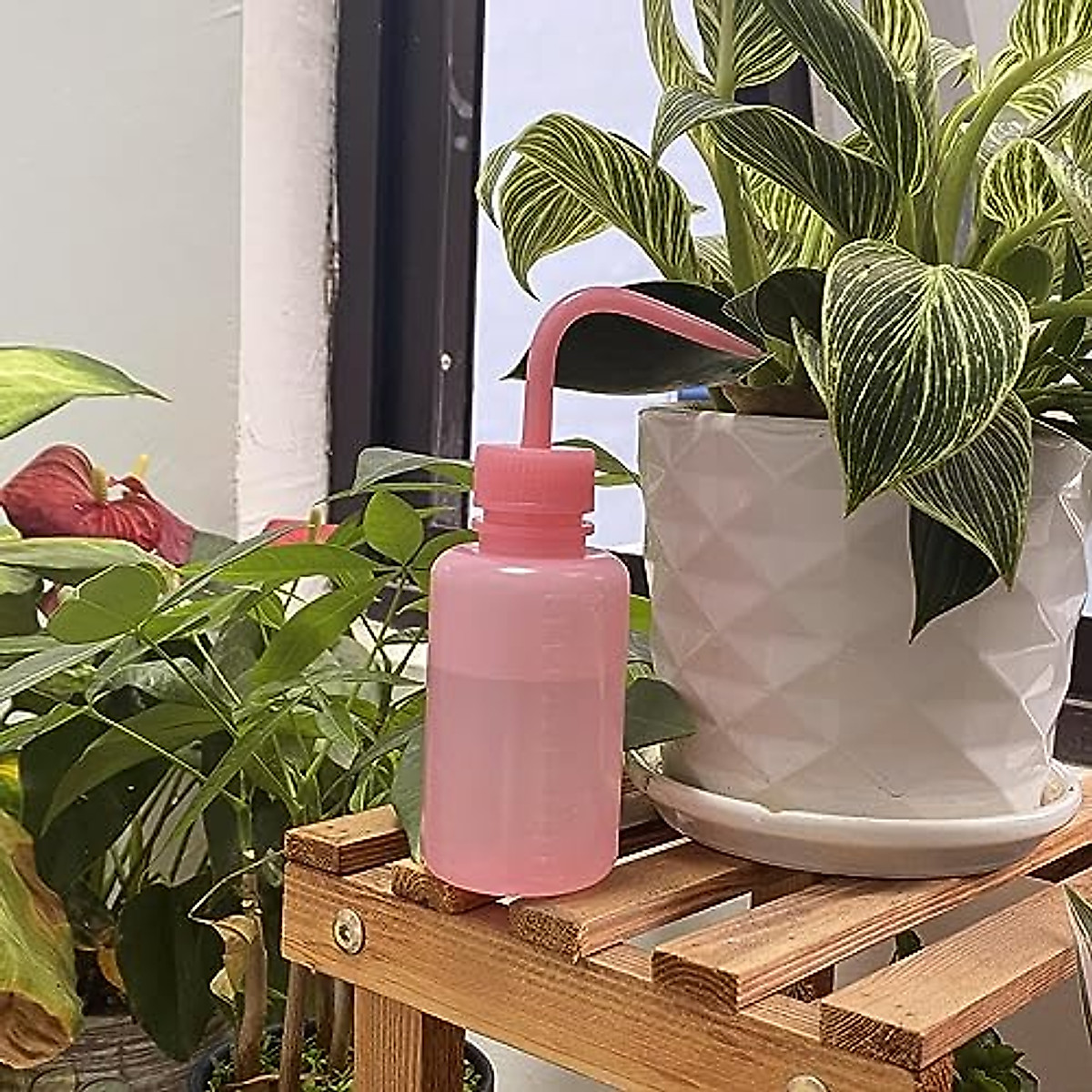 Valchoose 150ML Pink Wash bottles squeeze 5oz Mini Professional, Water Bottle for Lash Extensions, Easy to Carry Lash water bottle squeezer (1Pack)