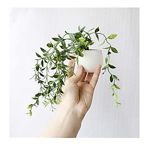 TIYGHI Fridge Magnets Artificial Hanging Plants Refrigerator Magnets Fake Succulents Whiteboard Magnet Strong Magnetic Fridge Decoration Magnet Cabinet for Home Kitchen Decoration (A)