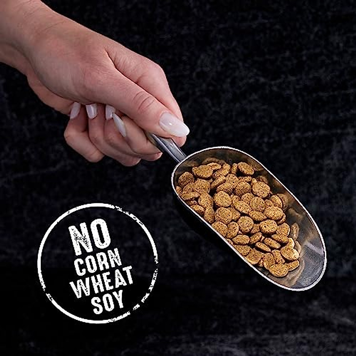 CRAVE Grain Free Adult High Protein Natural Dry Cat Food with Protein from Salmon & Ocean Fish 4 lb