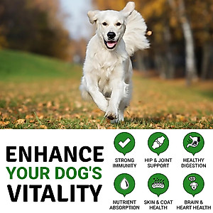 Dog Multivitamin Chewable Supplement - Dog Vitamins + Glucosamine, Omega, Probiotics - Hip & Joint Support, Skin & Coat, Gut Health - Adult & Senior Dog Treats