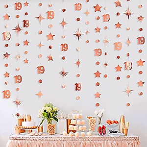 Rose Gold 19th Birthday Decorations Number 19 Circle Dot Star Garland Streamer Bunting Banner Backdrop for Girls Nineteen Year Old Birthday 19 and Fabulous Happy 19th Anniversary Party Supplies