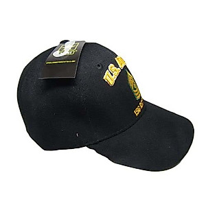 Flakita's Novelties Oficially Licensed US Army 1SG First Sergeant Retired Veteran Hat Ball Cap