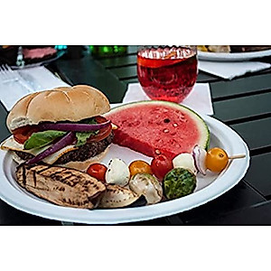 Chinet Premium 12 5/8 x 10-Inch Paper Platters, 24 ct - 2 Pack