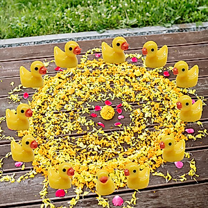 AWEELON 100 Pcs Mini Resin Ducks Tiny Ducks Miniature Duck Figures for Slime Charms DIY Craft Micro Landscape Garden Aquarium Dollhouse Decoration for Christmas Birthday Party