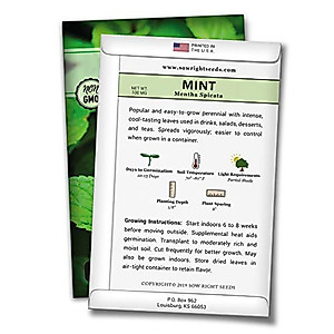 Sow Right Seeds - Mint Garden Seed Collection - Peppermint, Mint, Bergamot, Horsemint, and Lemon Balm - Non-GMO Heirloom Seeds with Instructions for Planting Indoors or Outdoors - Great Gardening Gift