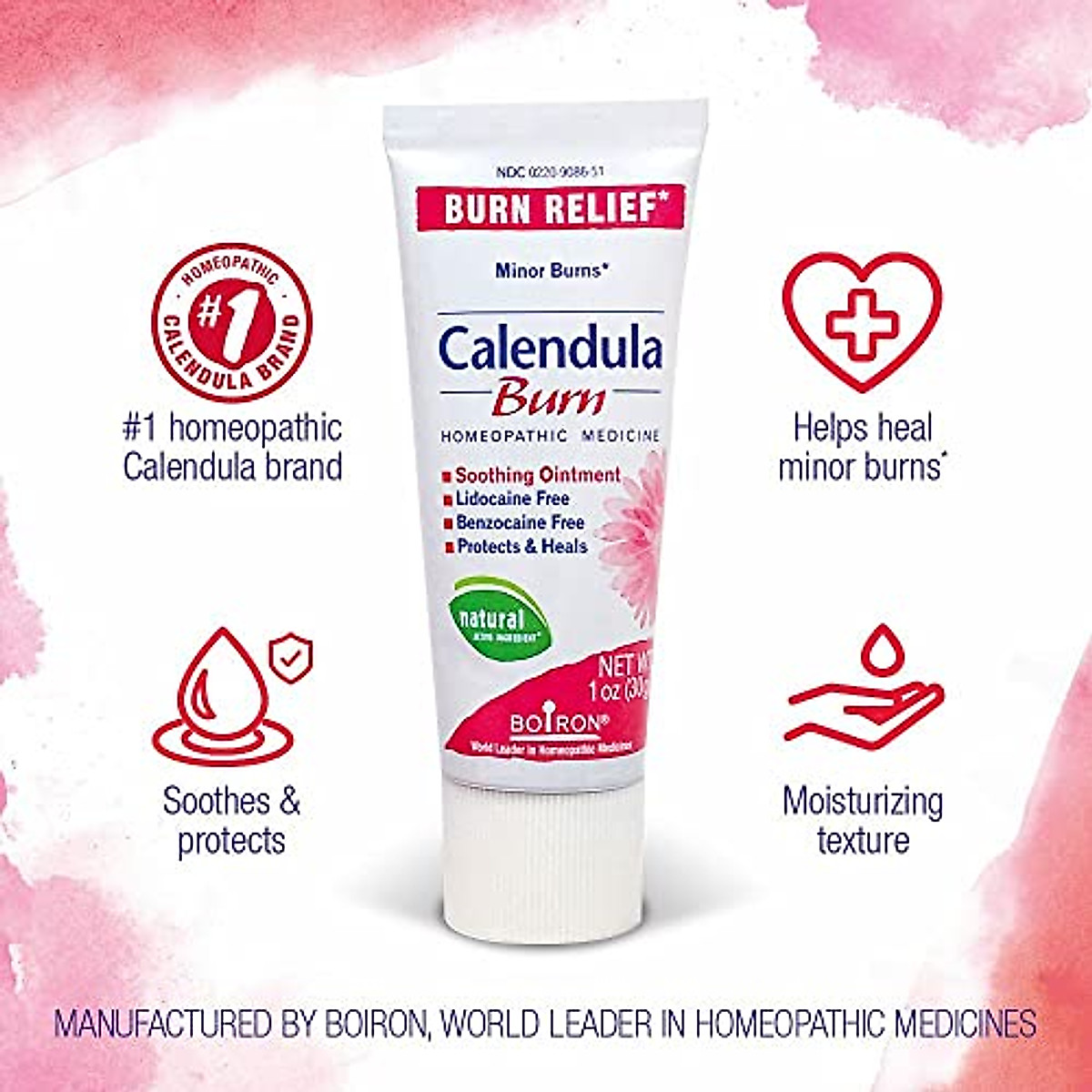 Boiron Calendula Burn Ointment for Relief from Minor Burns from Cooking, Friction, or Sunburns - 1 oz