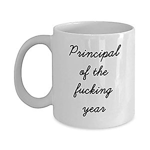 Best Principal Mug Funny Appreciation Mug for Coworkers Gag Swearing Mug for Adults Novelty Tea Cup