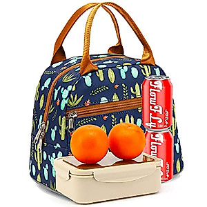 FlowFly Lunch Bag Tote Bag Lunch Organizer Lunch Holder Insulated Lunch Cooler Bag for Women/Men,Cactus