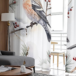 Christmas Semi Sheer Curtains 96 inches Long for Living Room, Christmas Winter Robin Bird on Tree Red Berries Pine Window Treatments Curtains Rod Pocket Light Filter Sheer Bedroom Drapes 2 Panels