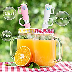 5PCS Straw Cover Cap for Stanley Cup, Silicone Straw Topper fit Stanley 30&40 Oz Tumbler with Handle, 10mm Drinking Straw Tip Covers for Stanley Cups Accessories. (Color 1)
