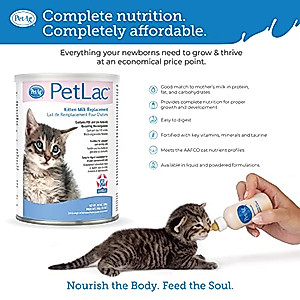 PetAg Petlac Milk Powder for Kittens - Kitten Formula Milk Replacer with Vitamins, Minerals, and Amino Acid - 10.5 oz