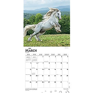 Horse Lovers | 2023 12 x 24 Inch Monthly Square Wall Calendar | Foil Stamped Cover | BrownTrout | Animals Equestrian