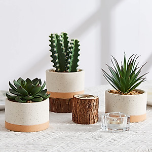 ASTRIDIA Artificial Succulent Plants in Ceramic Pots, Faux Assorted Succulents Fake Cactus Plants for Home Decor, Bedroom, Office, Desk, Living Room, Set of 3…