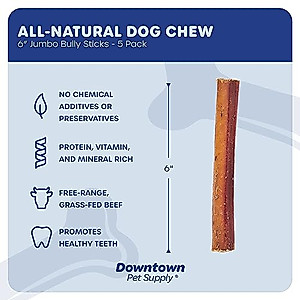 Downtown Pet Supply 6 inch Bully Sticks for Large Dogs, 5 Pack of Jumbo Extra Thick Treats for Aggressive Chewers, Single Ingredient, Rawhide-Free Long Lasting Dental Chews for Big and Medium Dogs