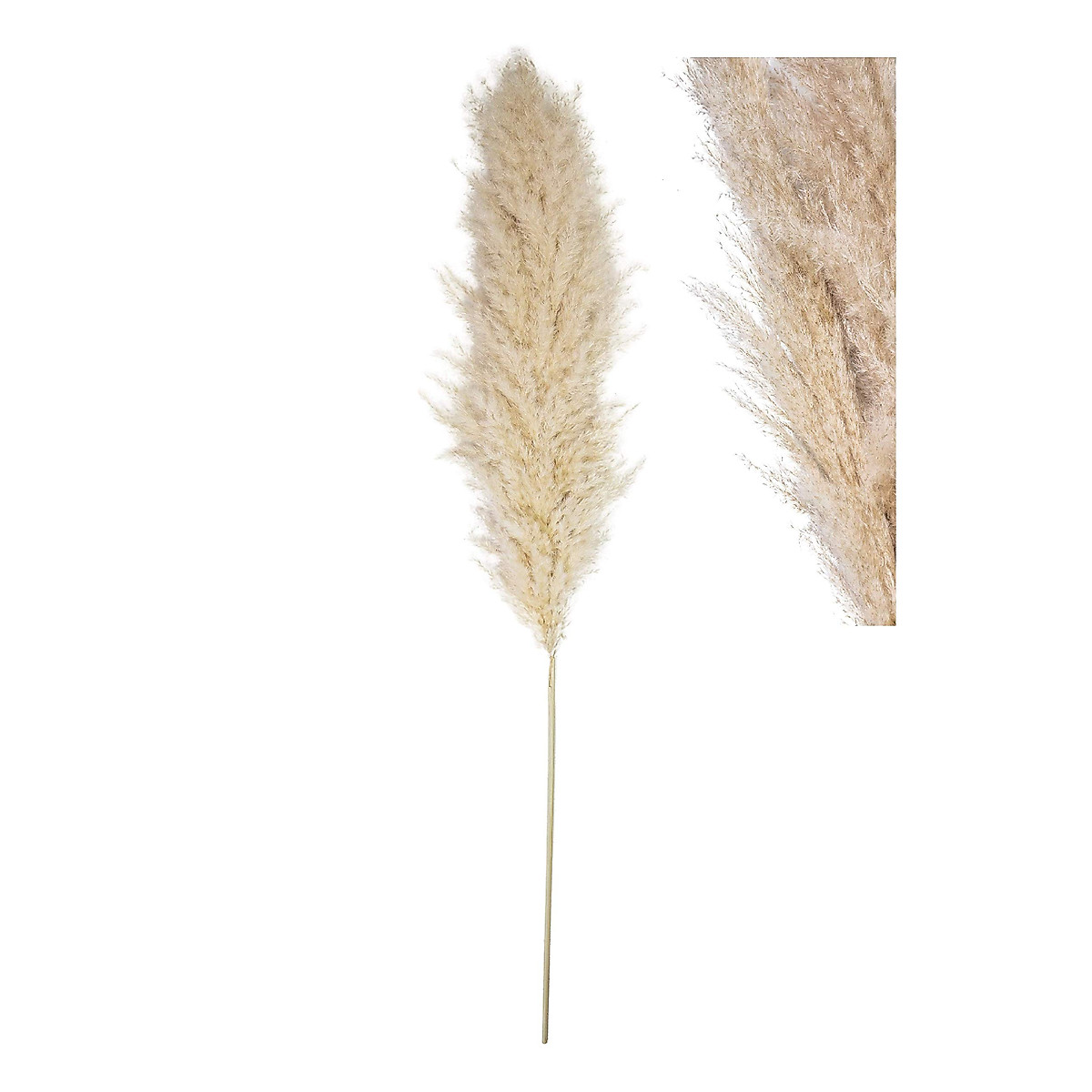 48" Extra Large Pampas Grass Stems Beige- 4 Pampas Stems - Tall-Pampas Grass for Floor Vase - Wedding Decoration