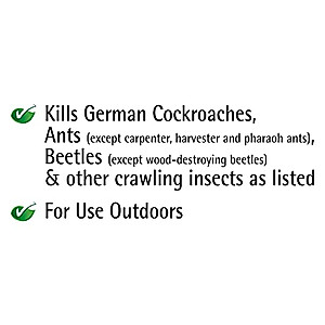 Garden Safe Insect Killer, 1-count