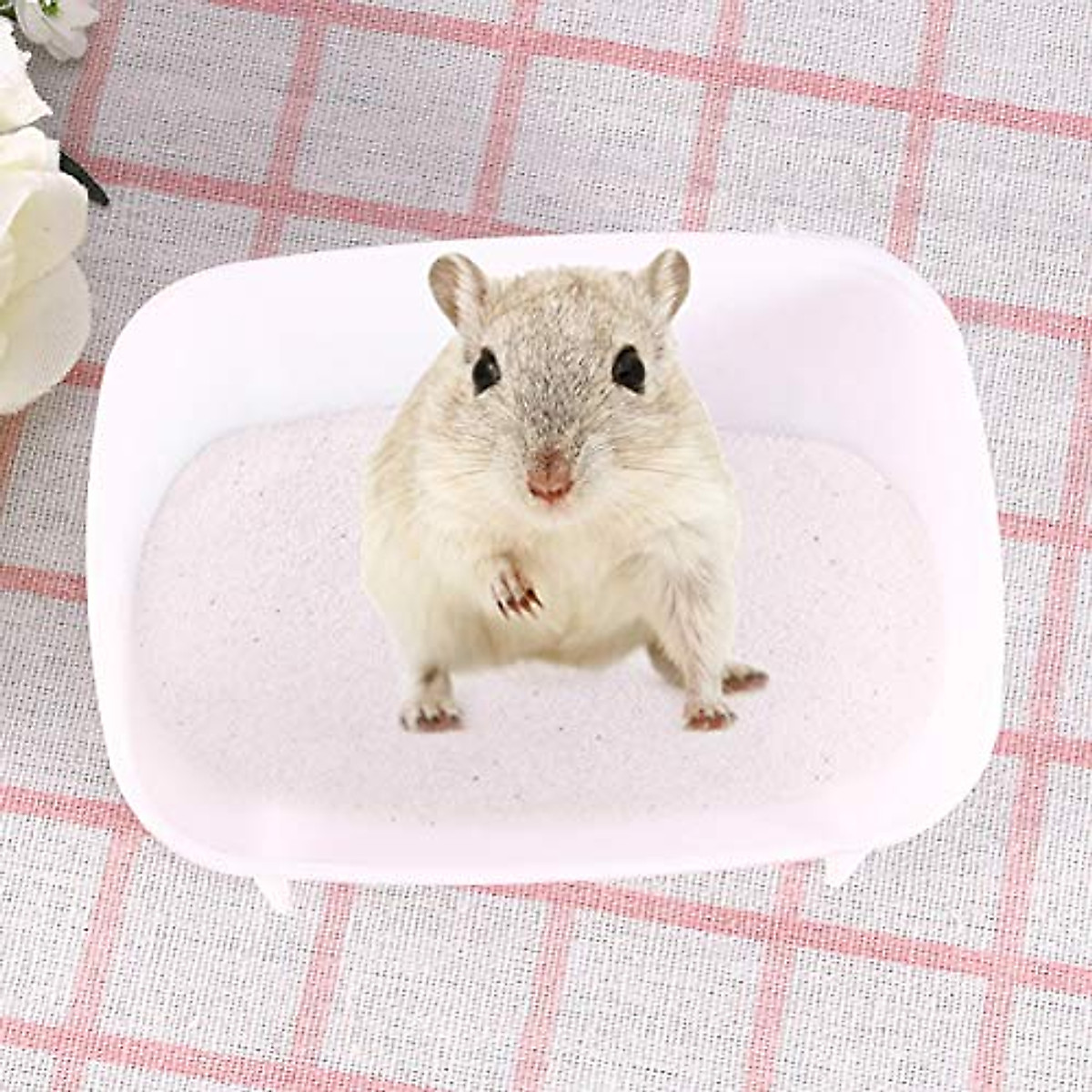 POPETPOP 2 Pcs Hamster Sand Bathroom Chinchilla Sand Bathroom Cleaning Tool Supplies Plastic Box for Hamster
