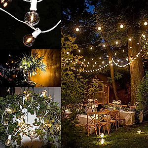 Pallerina LED Replacement Light Bulbs, Shatterproof Dimmable Globe Bulbs for Indoor Outdoor Patio Decor,0.6W Per Bulb,Warm White (G40 Clear Light Bulbs, 25 Pack)