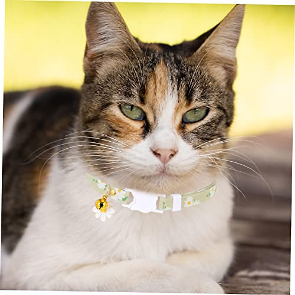 Balacoo 2pcs Pet Flower Collar Puppy Collars Girl Necklace Cat Bell Collar Adjustable Dog Collars Dog Necklace Collar Dog Grooming Accessories Kitten Collar Kitten Collars Fancy Cat Collar