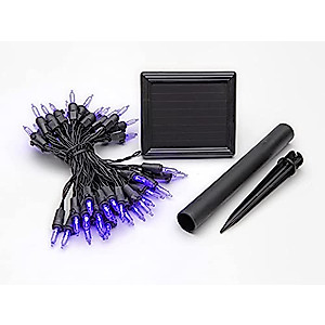 DecoBrite Halloween Solar Purple String Lights Outdoor 21ft (6.3m) 50 ct LED Mini Lights on Black Wire for Garden Tree Yard Patio Party Decoration (Purple)