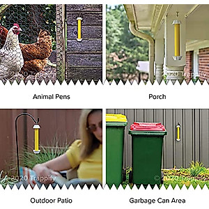 Trappify Hanging Fly Traps Outdoor: Fruit Fly Traps for Indoors | Fly Catcher, Gnat, Mosquito, & Flying Insect Catchers for Inside Home - Disposable Sticky Fly Trap for Indoor House Pest Control (8)