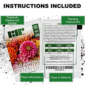 250 California Giants Zinnia Seeds for Planting - Heirloom Non-GMO USA Grown Premium Flower Seeds - Mix of Red, Orange, Yellow, White, Pink, and Purple Flowers - Attracts Butterflies by RDR Seeds