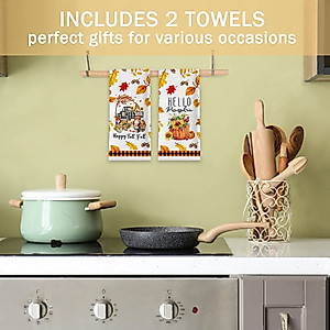 Bonsai Tree Fall Hand Towels Bathroom, Autumn Pumkins Gnomes Kitchen Towels 18”x28”, Buffalo Plaid Truck Maple Leaves Seasonal Dish Tea Towel Housewarming Gifts Decor for New Home Sets of 2