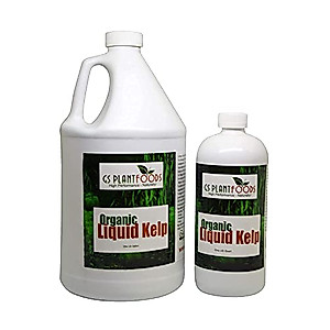 Organic Kelp Fertilizer by GS Plant Foods - Omri Certified (1 Quart) - Kelp Fertilizer for Gardens, Lawns & Soil